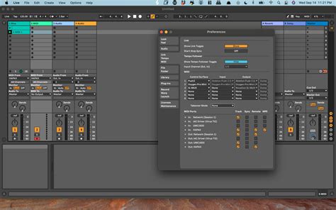 Ableton Live Setup