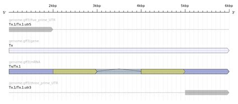 Bioconductor Transcript Coordinate Ranges To Genomic Coordinates