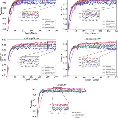Accuracy Curves Of Different Dropout Training Strategies On The Public