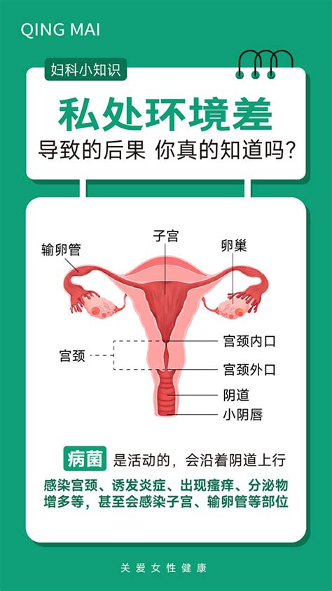 女性健康妇科疾病科普海报