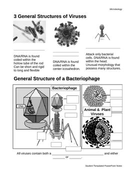 Viral Structure PPT Babe Worksheet By Spruce Science TPT