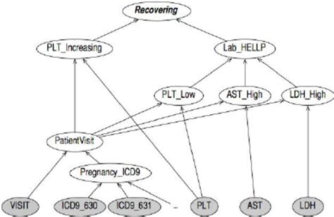 Abstraction Hierarchy Of The Recovering Abstraction Showing Which Data Download Scientific