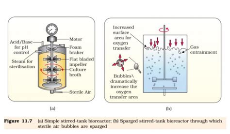 A Name The Most Commonly Used Bioreactor Why Are These Bioreactors Used B How Is The