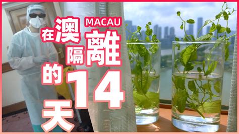 澳門14天隔離vlog 隔離生活也是生活的另一種體驗 升級21日前的隔離記錄 Youtube