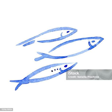 손으로 그린 일러스트 수채화 블루 물고기 무리 흰색 배경에 고립 수채화에 대한 스톡 벡터 아트 및 기타 이미지 수채화 고등어류 멸치 Istock