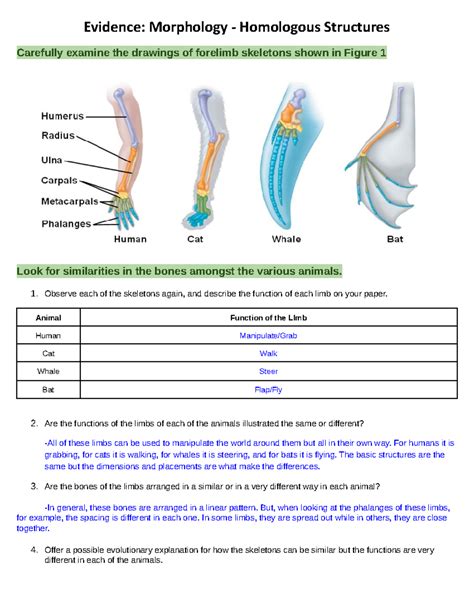 Analogous Structures Vs Homologous Structures