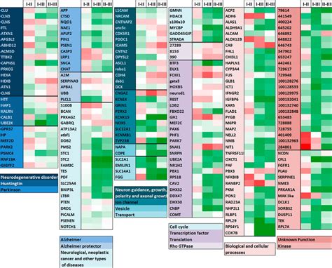 Heat Map Generated From Dna Microarray Data Reflecting Compression Of