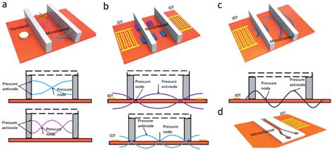 Depiction Of Different Acoustophoretic Devices And Concepts A Download Scientific Diagram