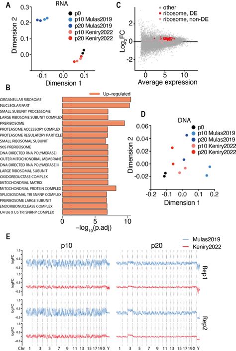 Modified Culture Conditions Maintain Transcriptome And Karyotype Of