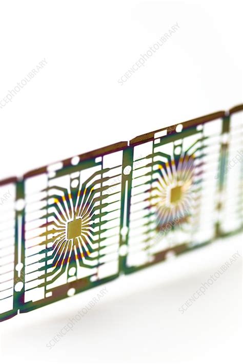 Microprocessor Chips Stock Image F002 4602 Science Photo Library