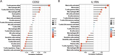 Correlation Between Hub Genes And Immune Cells A The Correlation Download Scientific Diagram