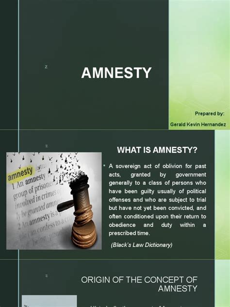 Amnesty Pdf