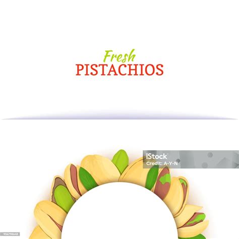 반원 흰색 프레임 피스타치오 너트의 구성 벡터 카드 그림입니다 견과류 프레임 양 껍질 셸에서 포장 디자인 식품 버터 피스타치오 기름 화장품 크림을 위한 잎 디자인 요소에