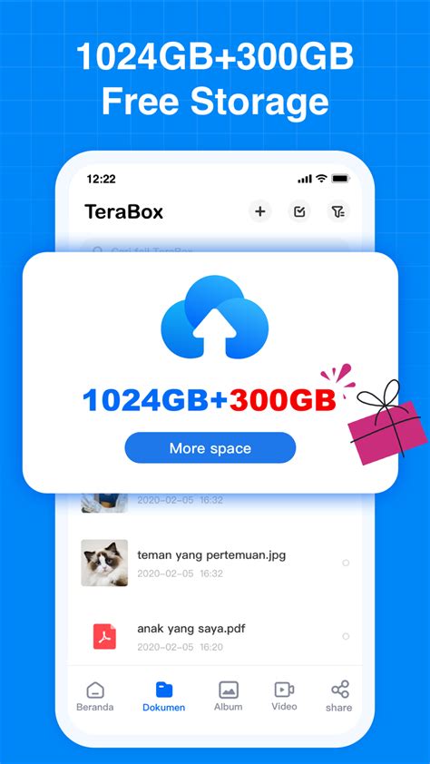 Terabox Cloud Storage Space Voor Iphone Download