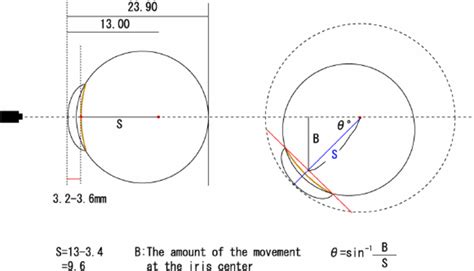 The Eye Rotation Model Used In Our Algorithm Download Scientific Diagram