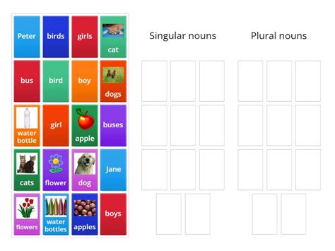 Singular Versus Plural Nouns Naming Words Group Sort