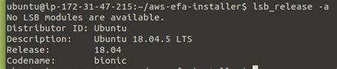 Ubuntu 1804 Efa And Cdi Tests Are Completely Broken If The Gui Desktop Is Used · Issue 57