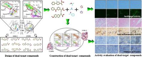 用于治疗真菌传染病的双靶点 Cox 2 Cyp51 抑制剂的设计、合成和生物学评价 Journal Of Medicinal Chemistry X Mol