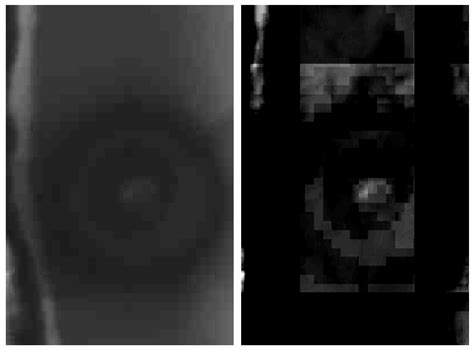 The Original Cross Section Of The Defect Area In The Cavity Left And Download Scientific