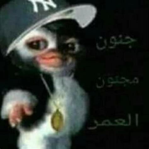 El Mismo Gremlin Cholo Tirando Flow Todos Los Días