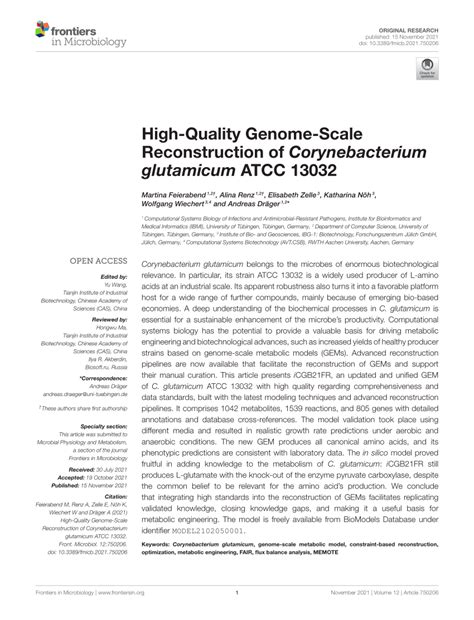 Pdf High Quality Genome Scale Reconstruction Of Corynebacterium Glutamicum Atcc 13032