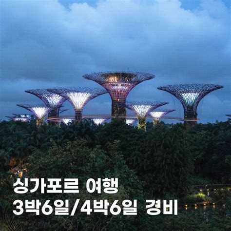 혼자 싱가포르 여행 3박6일 4박6일 경비 정리 싱가포르 물가 꿀팁 네이버 블로그