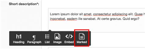 Extending RichText Field Type In EZ Platform Contextual Code