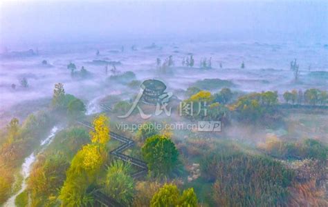 江苏泗洪初冬湿地景如画 人民图片网
