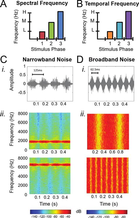 Example Tonotopic And Periodotopic Stimuli For Auditory Field Mapping