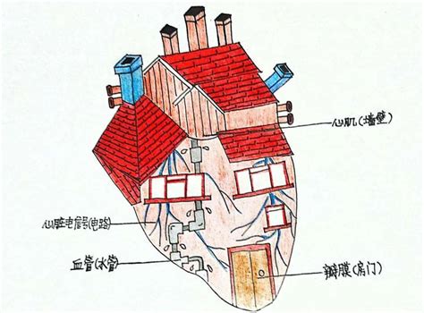 【妍论健康】一图带你读懂，不开刀也能心脏换瓣膜！ 搜狐大视野 搜狐新闻