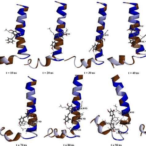 A í µí½1 42 Peptide Aggregation In The Presence Of 50 μm And 100 μm Download Scientific