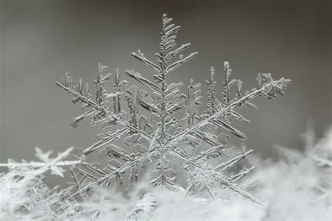 Controlling The Snowflake Effect On Project Cost E Business International