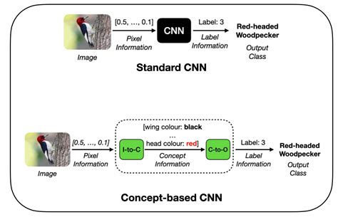 Now You See Me Cme Concept Based Model Extraction Bard Ai