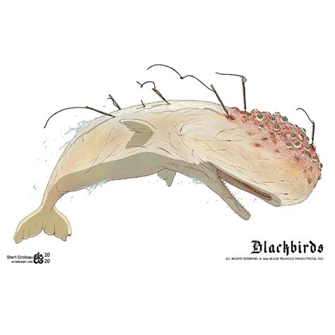 缝合怪 抹香鲸 花瓣网