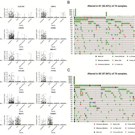 Analysis Of 18 Prognostic Genes In The Single Cell And Bulk Analysis Download Scientific