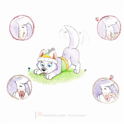 Rule 34 Animal Genitalia Animal Pussy Anus Bodily Fluids Canid Canine