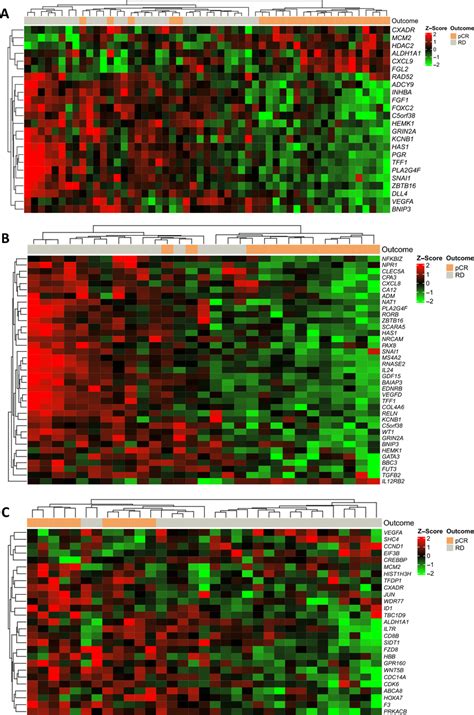 Heatmap Of Gene Expression Data Using Unsupervised Hierarchical