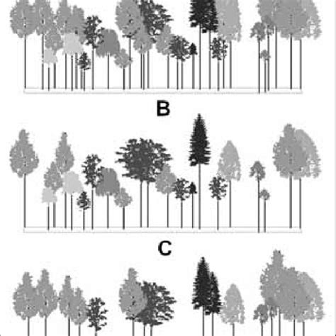 Histogram Of Tree Layer Diameter Structure According To Main Tree Download Scientific Diagram