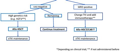 Proposed Schema For Allogeneic Hematopoietic Stem Cell Transplant Allo