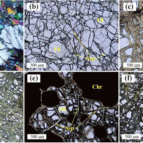 Photomicrographs Of Investigated Ultramafic Rocks From New Caledonia