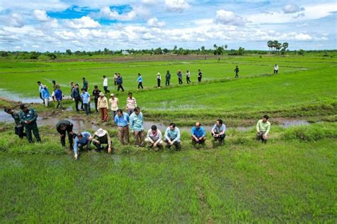 ស្រុកចំនួន២ នៃខេត្តកំពង់ចាម ផ្ទុះករណីសត្វដង្កូវហ្វូងស៉ីបំផ្លាញលើដំណាំស្រូវ និងដំណាំដំឡូងមី
