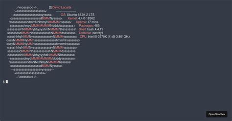 Terminal Codesandbox