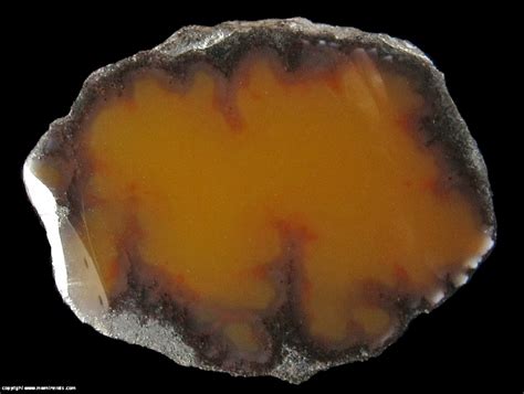 Mineral Specimen 5897 Polished Butterscotchyellow Datolite Nodule From