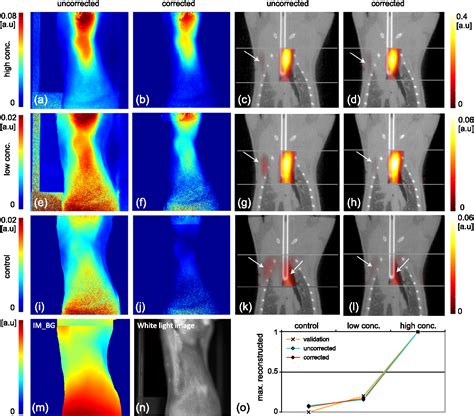 Fluorescence Background Subtraction Technique For Hybrid Fluorescence Molecular Tomographyx Ray