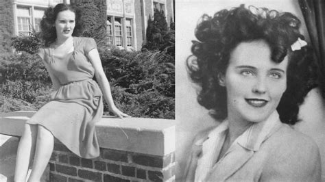 Mystery Black Dahlia