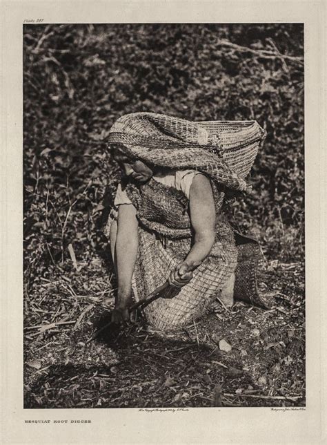 Hesquiat Root Digger