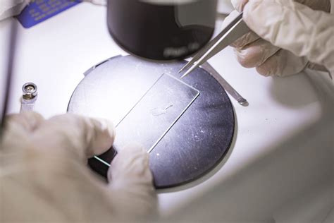 Bulk Asbestos Testing Bulk Samples Nata Accredited