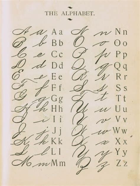 Classic Cursive Fonts Alphabet In 2024 Typography Alphabet Hand