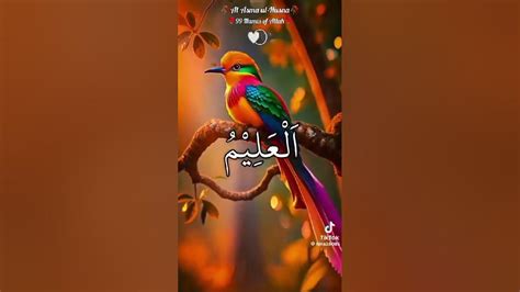 اسمالحسنی Youtube