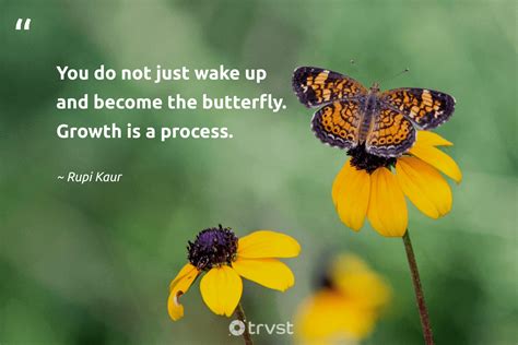 Butterfly Quotes